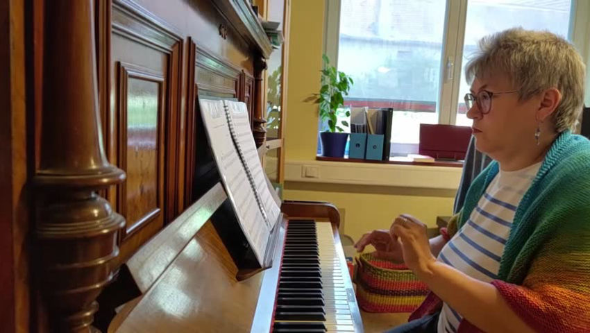 Carlotta Ferrari: 5 Divertissement per pianoforte verticale - rankett.net